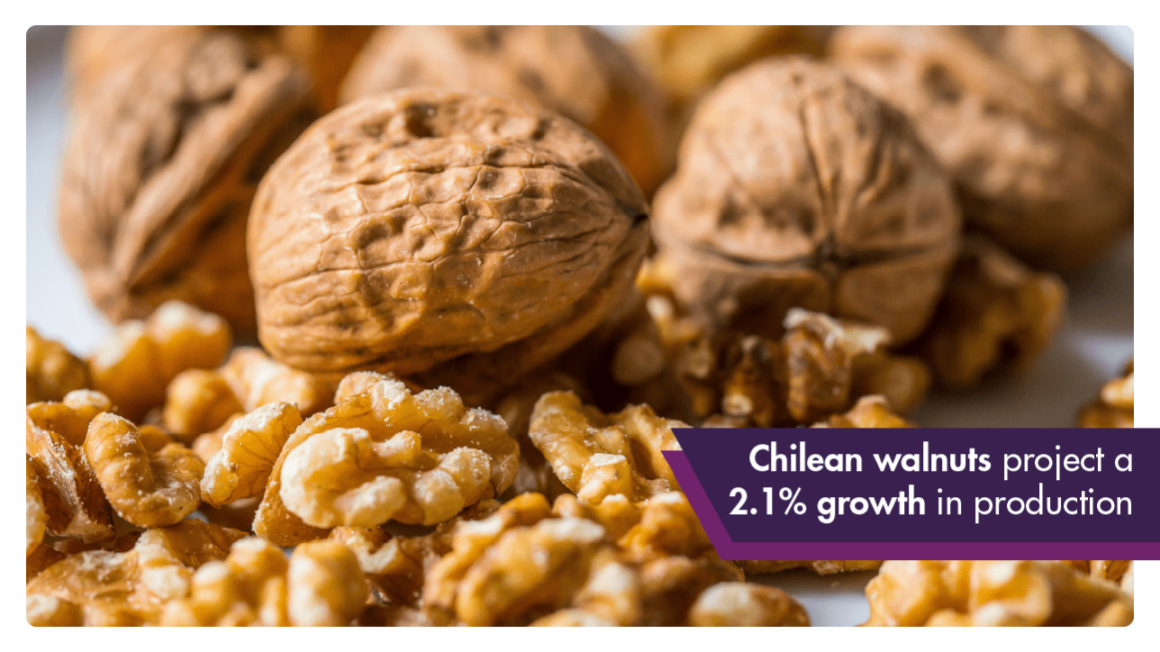 Chilean walnuts project a 2.1% growth in production | goodvalley